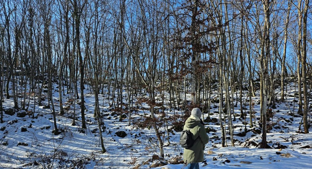 Stručne službe PP Grabovača pripremile su teren za sutrašnje otvorenje ...